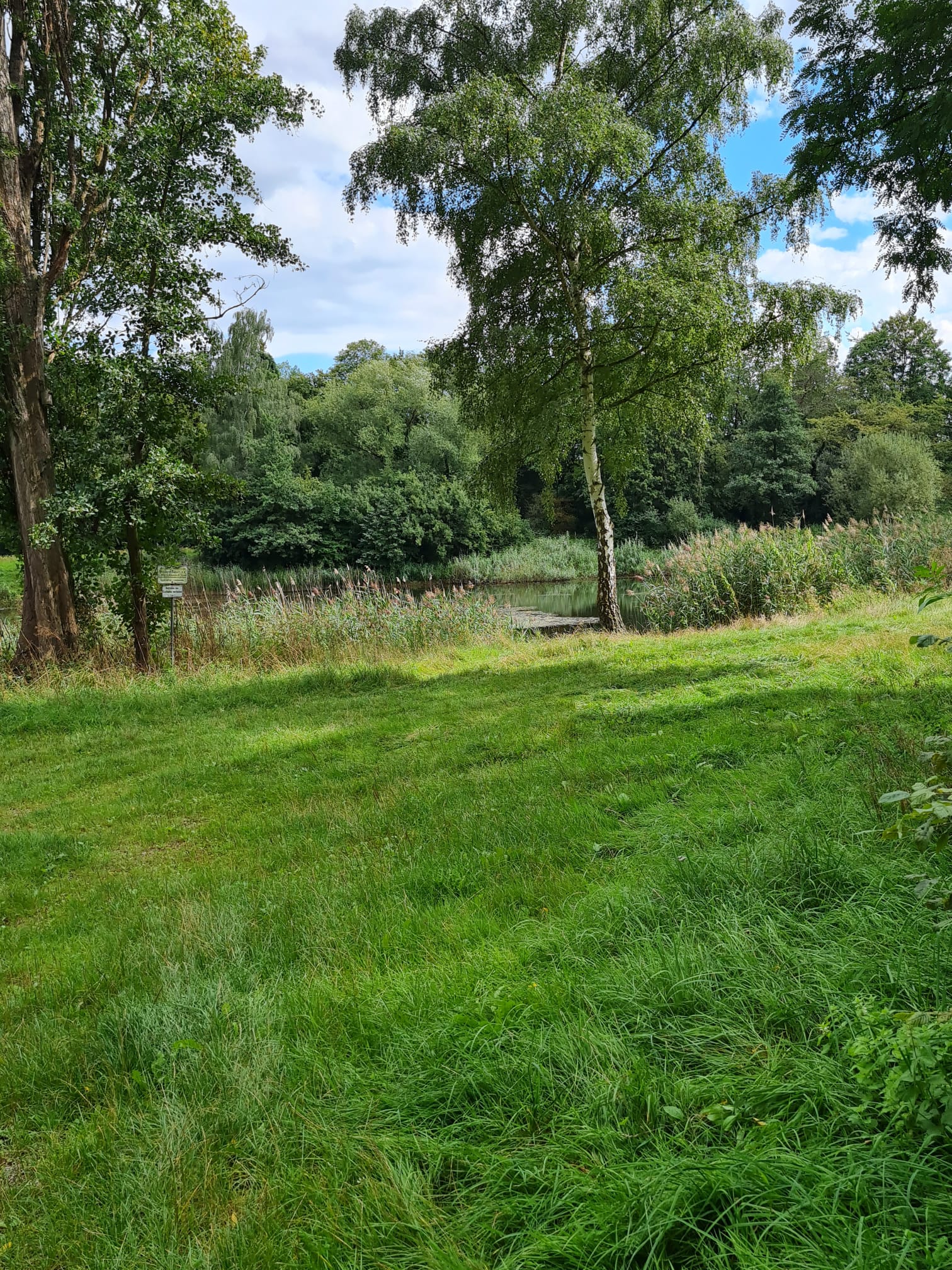 HMS-SEELING - STARTSEITE